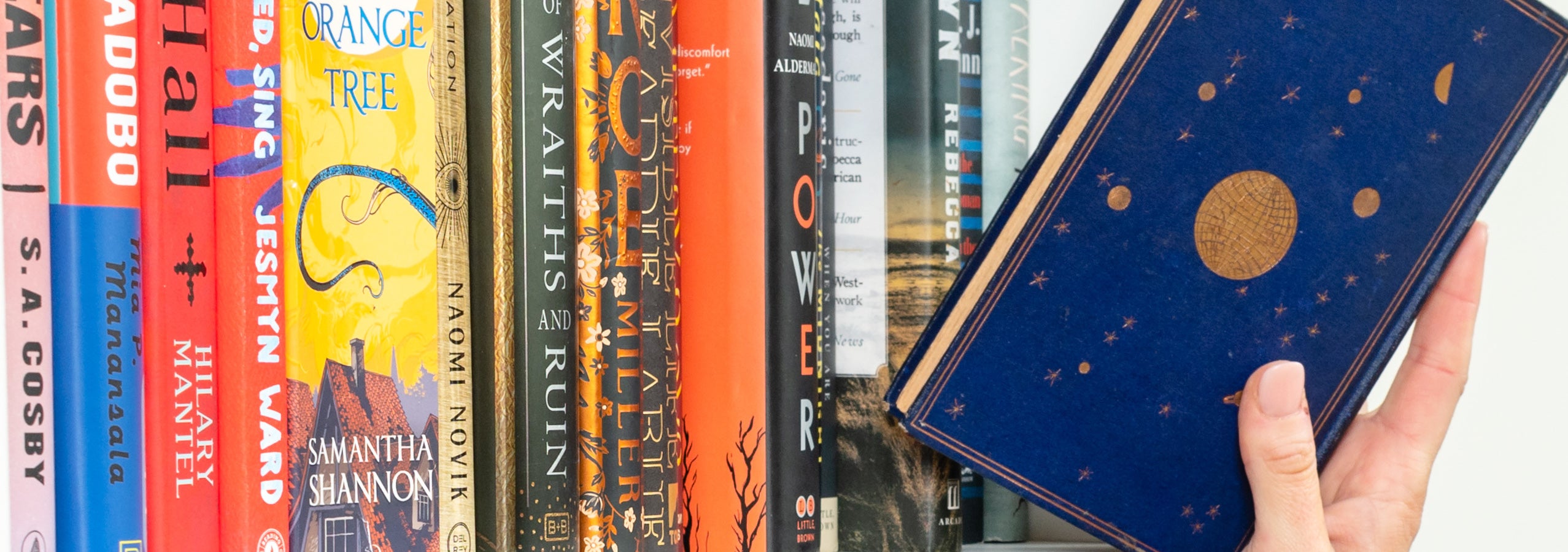 Introducing Shelves! A New Way to Save and Curate Books on Pango