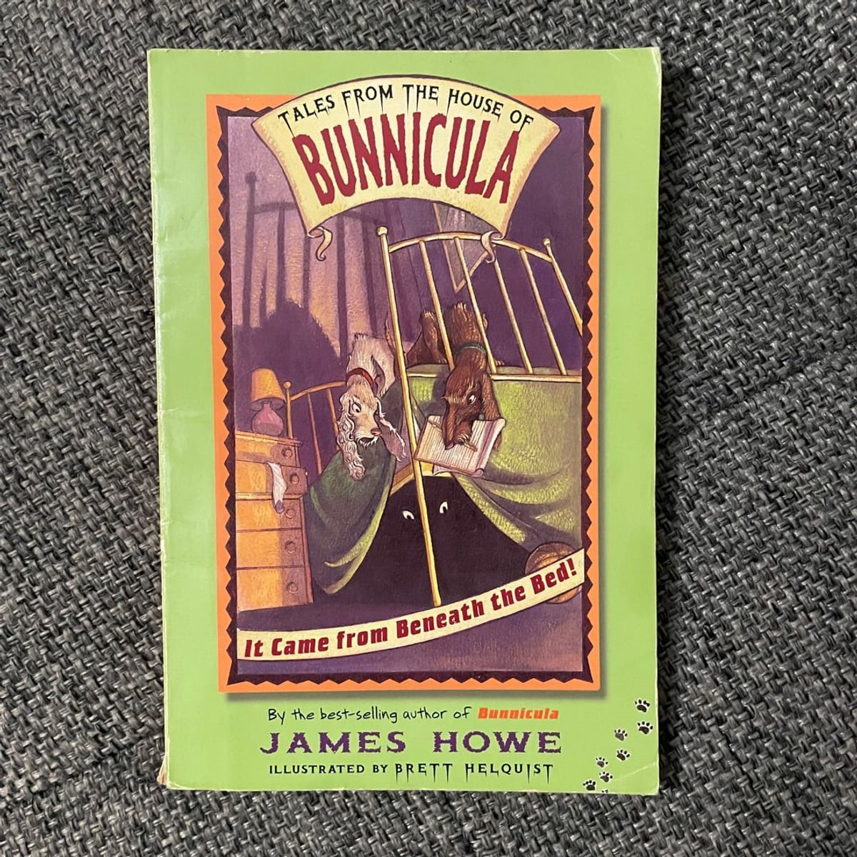 It Came from Beneath the Bed! by James Howe