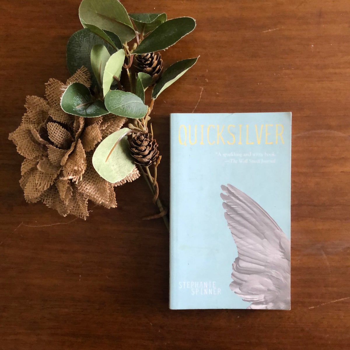 Quicksilver by Stephanie Spinner, Paperback | Pangobooks