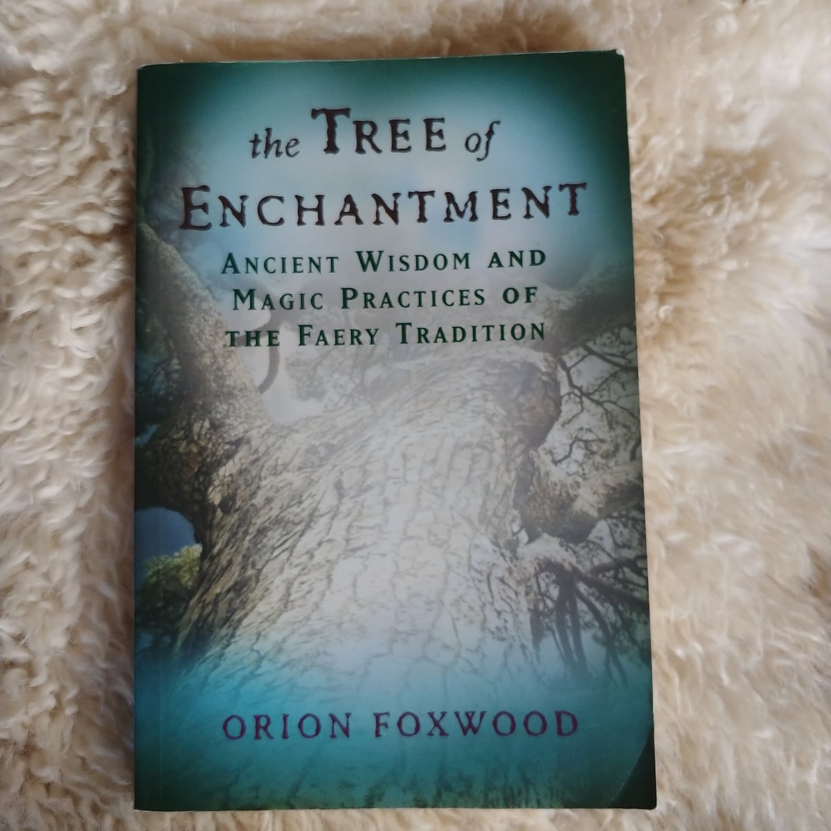 Tree Of Enchantment