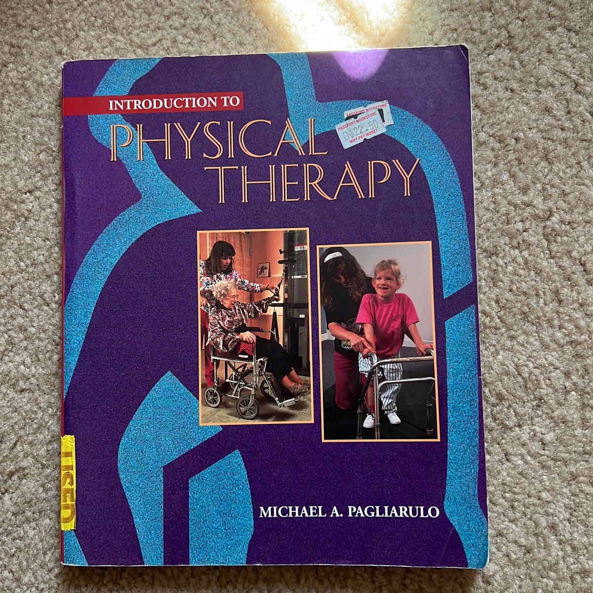 Introduction to Physical Therapy by Pagliarulo