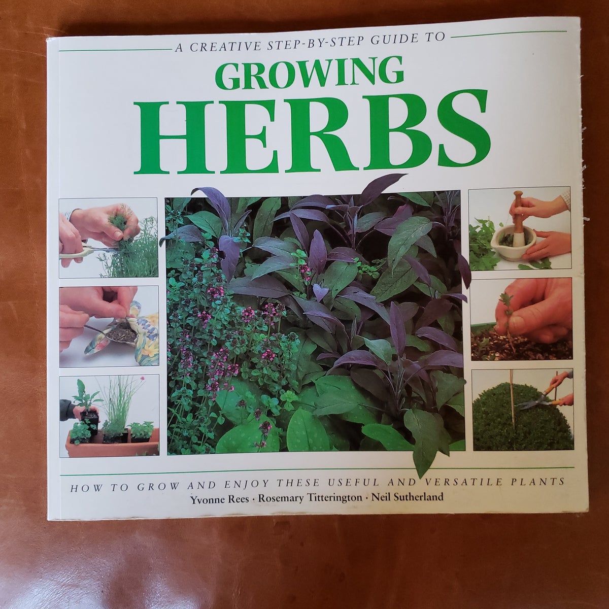 Creative Step by Step Guide to Growing Herbs by Rees
