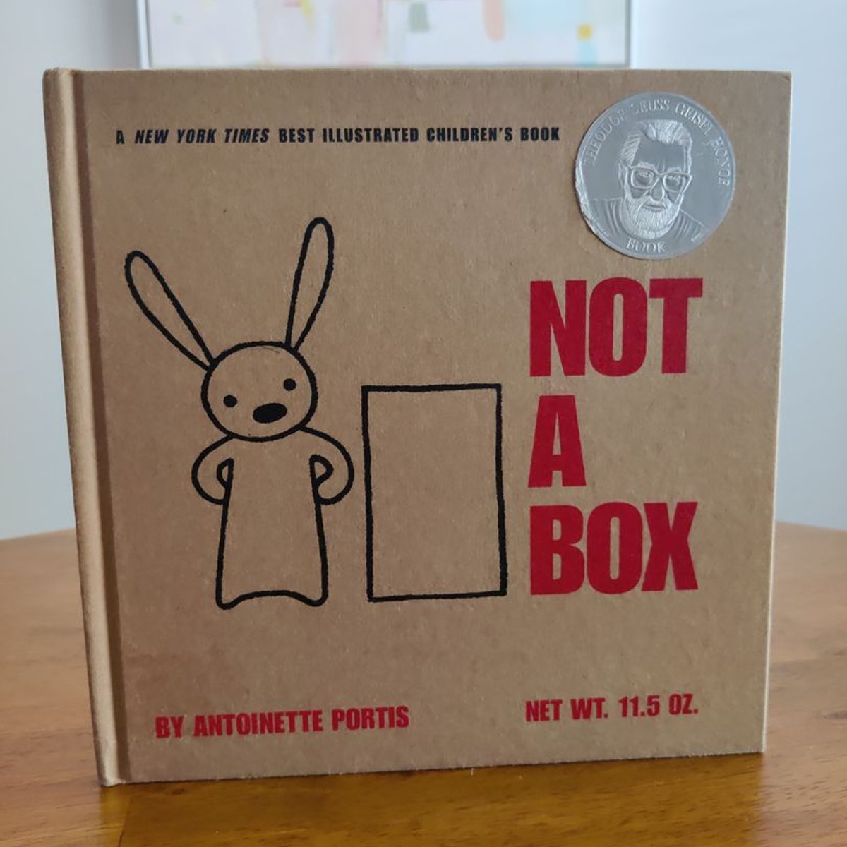 Not a Box by Antoinette Portis