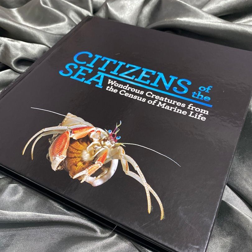 Citizens of the Sea by Nancy Knowlton, Hardcover | Pangobooks