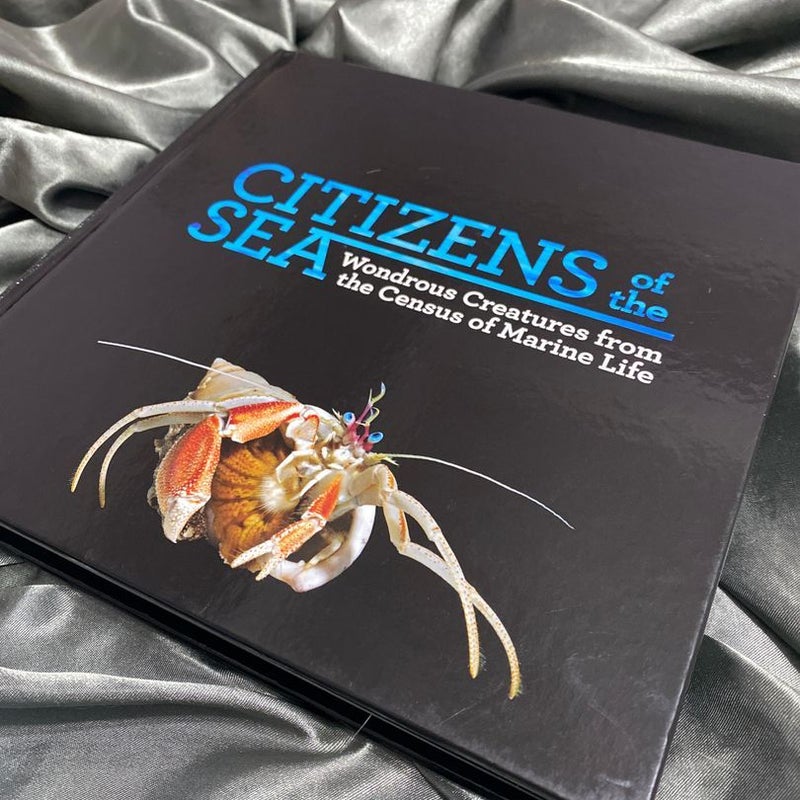 Citizens of the Sea by Nancy Knowlton, Hardcover | Pangobooks