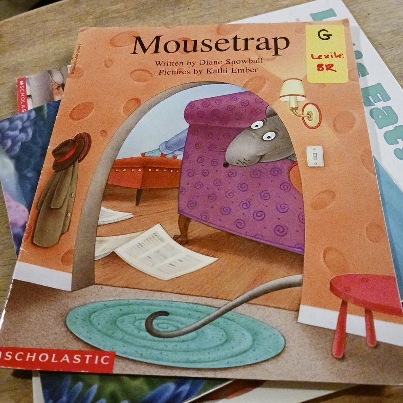 Mousetrap by Diane Snowball, Paperback | Pangobooks