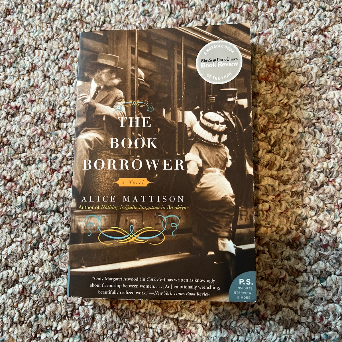 The Book Borrower by Alice Mattison, Paperback | Pangobooks