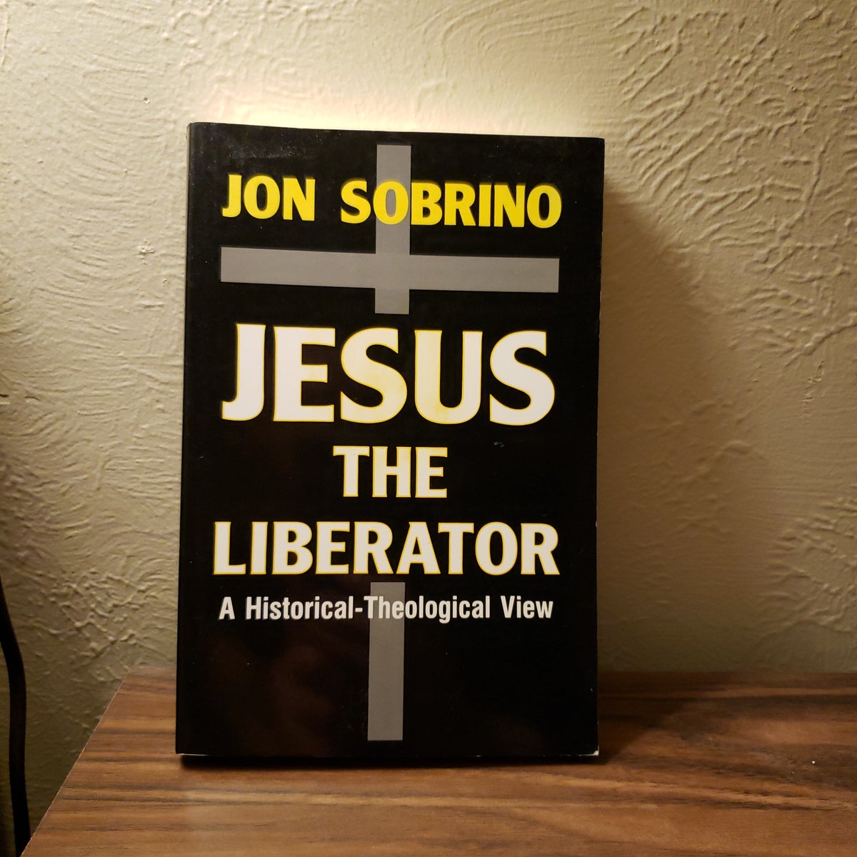 Jesus the Liberator - Jesucristo Liberador by Jon Sobrino, Paul Burns ...