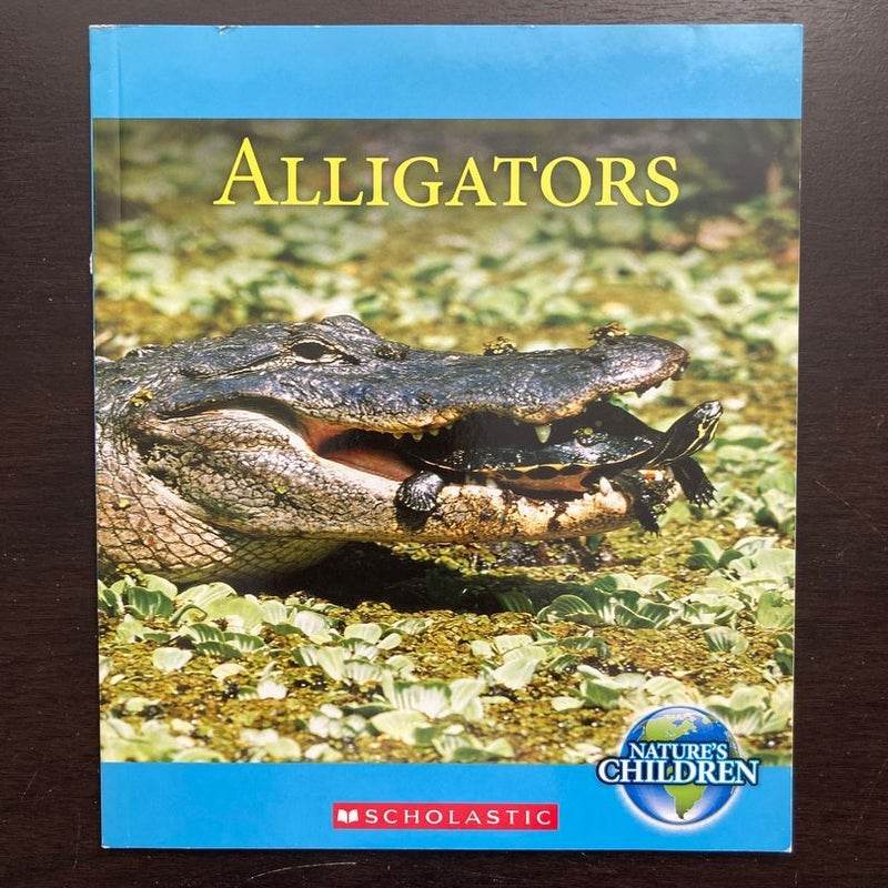 Alligators by Timothy M. Daly