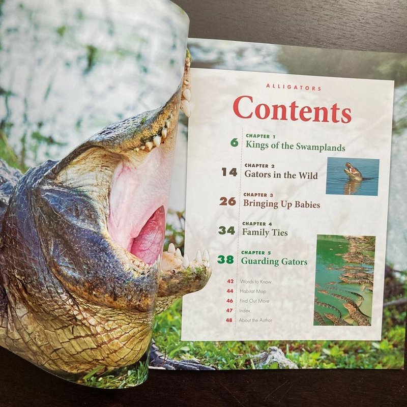 Alligators by Timothy M. Daly