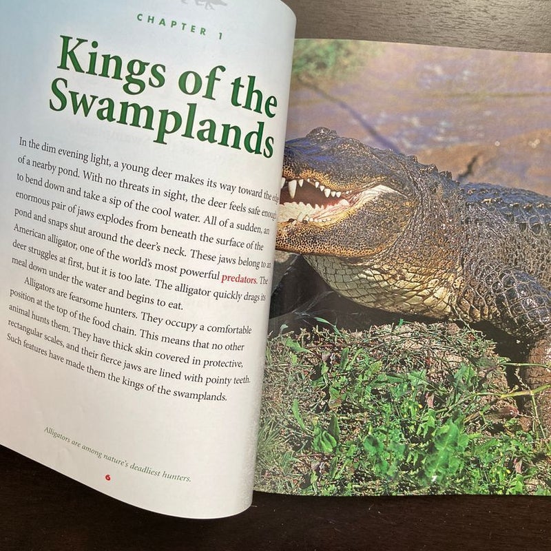 Alligators by Timothy M. Daly