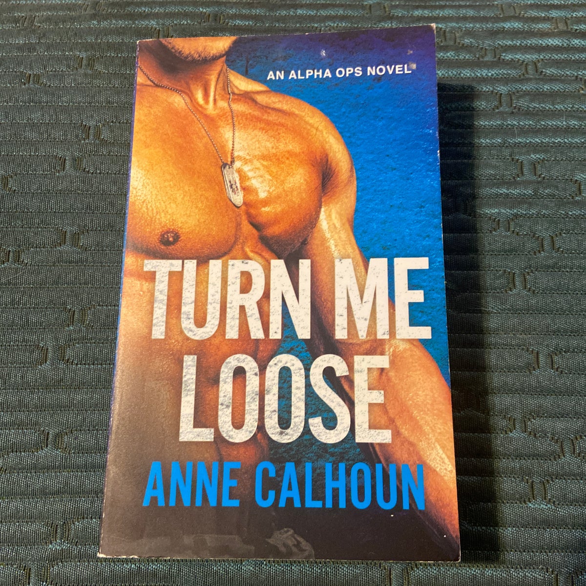 Turn Me Loose by Anne Calhoun