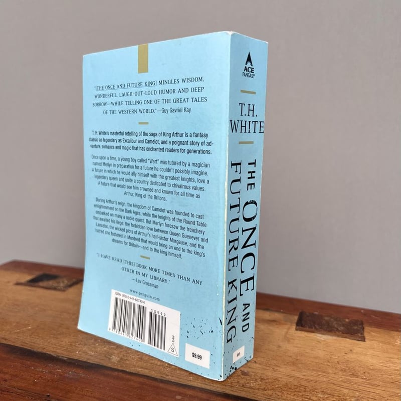 The Once and Future King by T. H. White, Paperback | Pangobooks