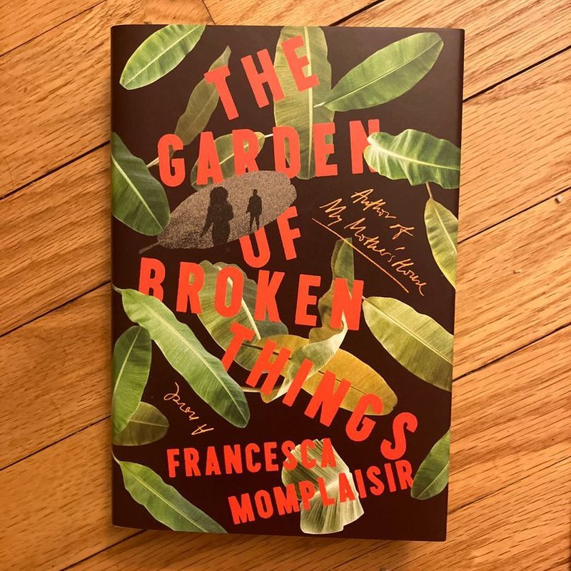 The Garden of Broken Things by Francesca Momplaisir