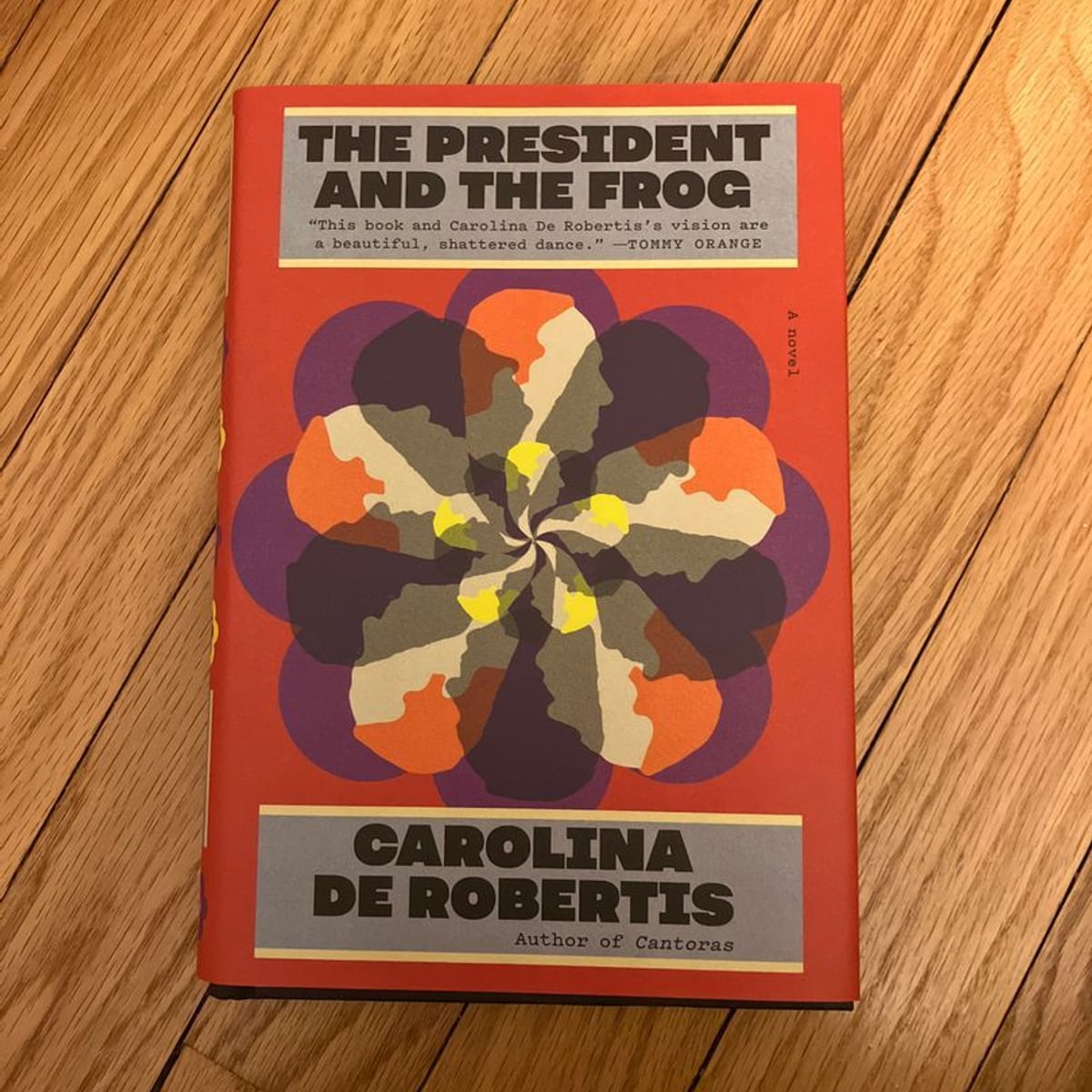 The President and the Frog by Carolina De Robertis