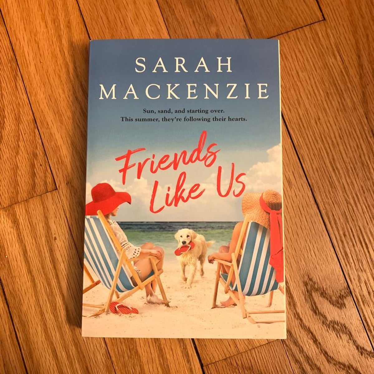 Friends Like Us by Sarah Mackenzie
