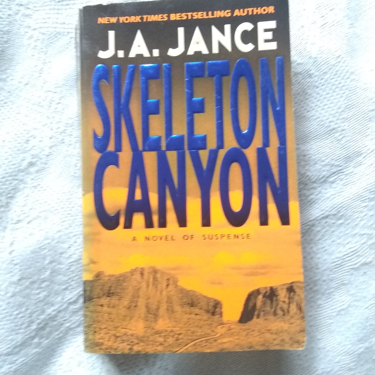 Skeleton Canyon by J. A. Jance