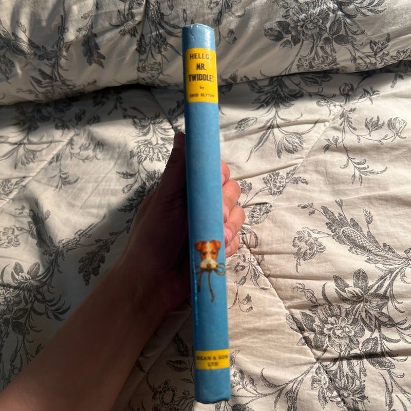 Hello, Mr. Twiddle by Enid Blyton, Hardcover | Pangobooks