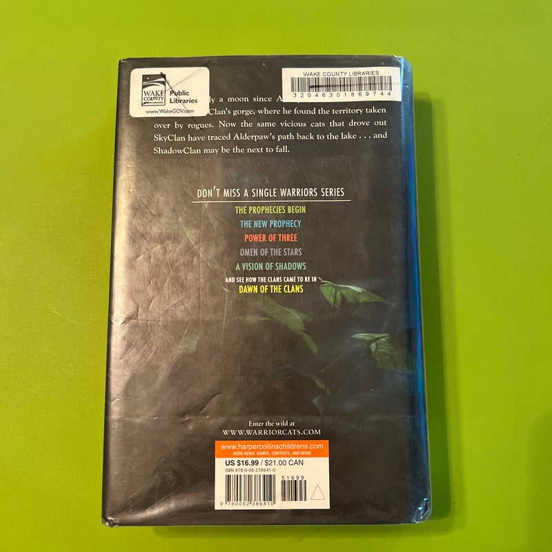 Warriors: a Vision of Shadows #2: Thunder and Shadow