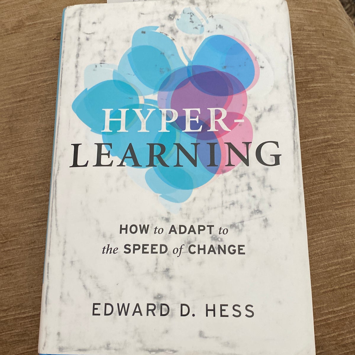 Hyper-Learning by Edward D. Hess