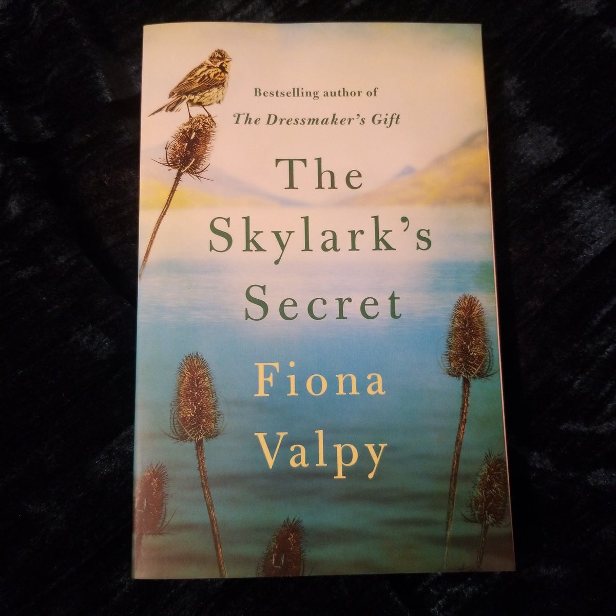 The Skylark's Secret by Fiona Valpy