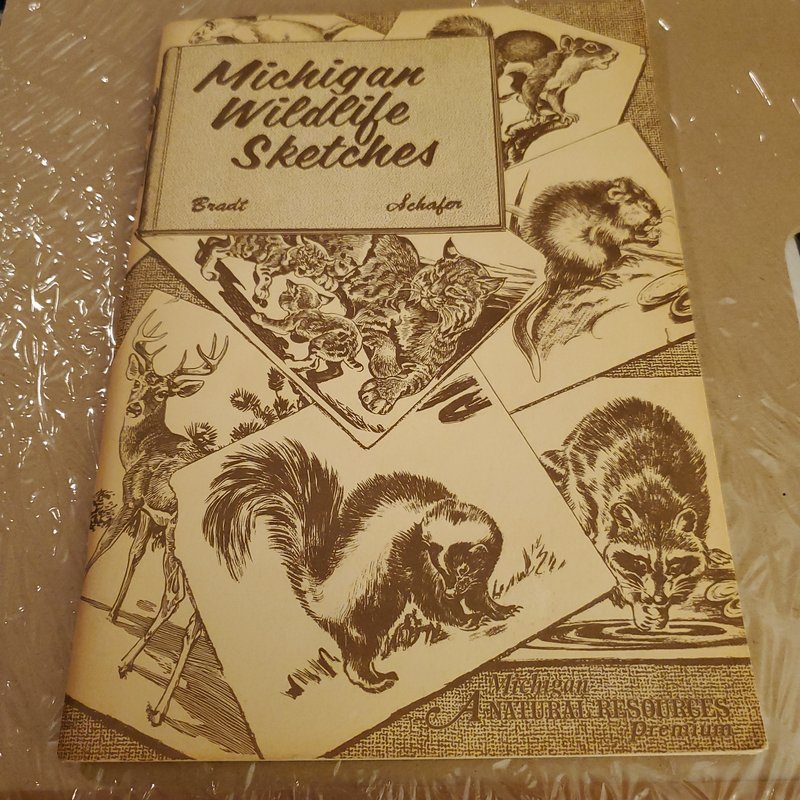 Michigan Wildlife Sketches by Bradt, Schafer, Paperback | Pangobooks