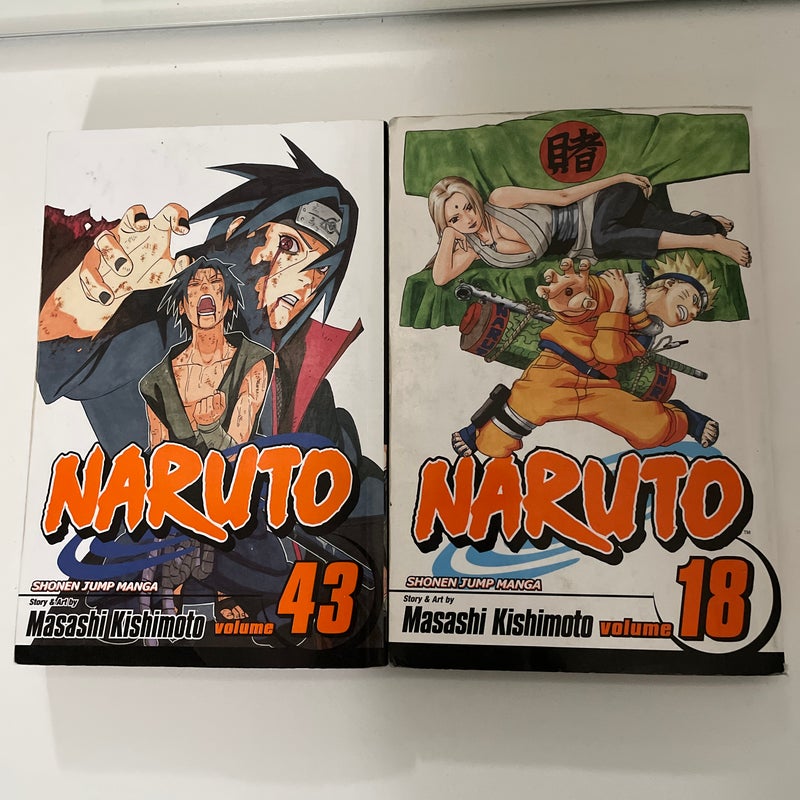 Naruto, Vol. 43 by Masashi Kishimoto