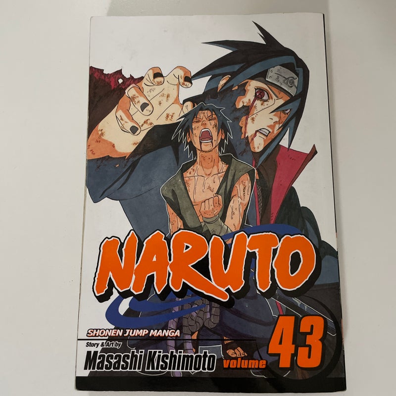 Naruto, Vol. 43 by Masashi Kishimoto