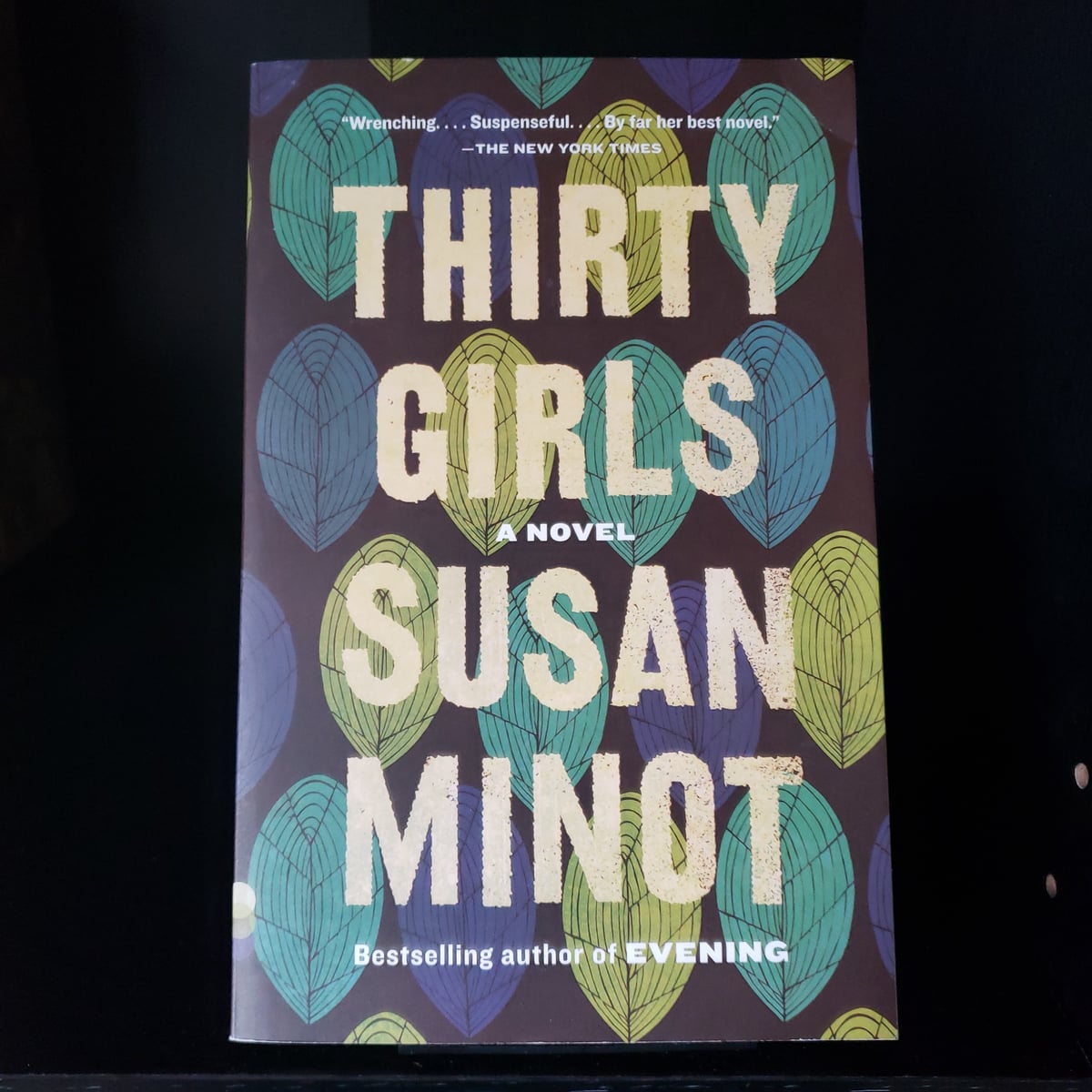 Thirty Girls