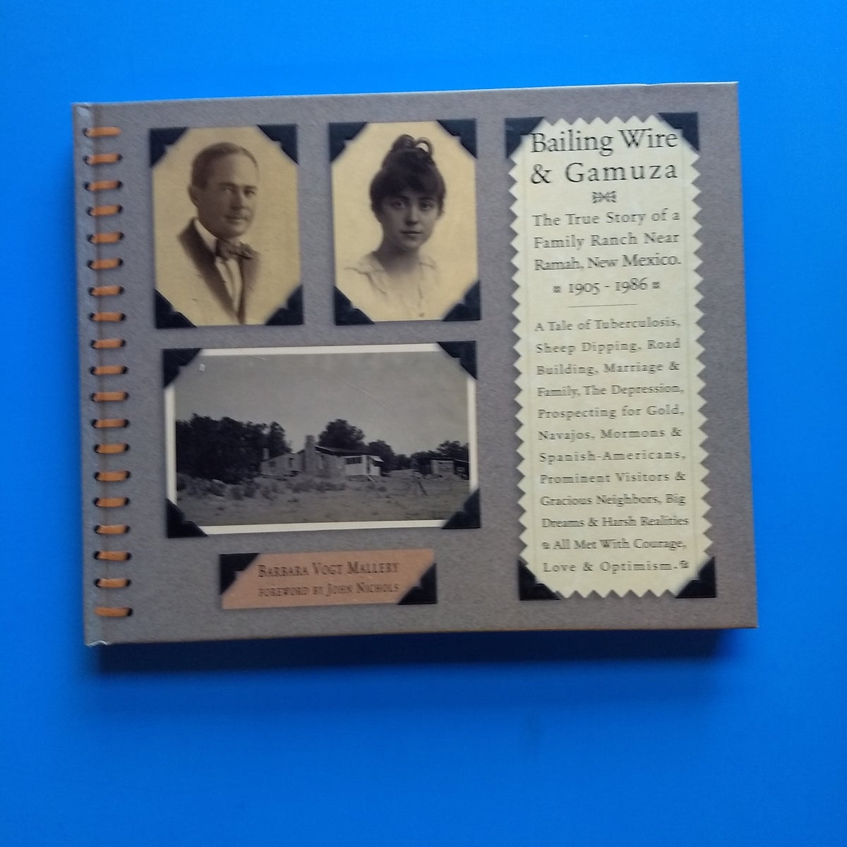 Baling Wire and Gamuza by Barbara Vogt Mallery