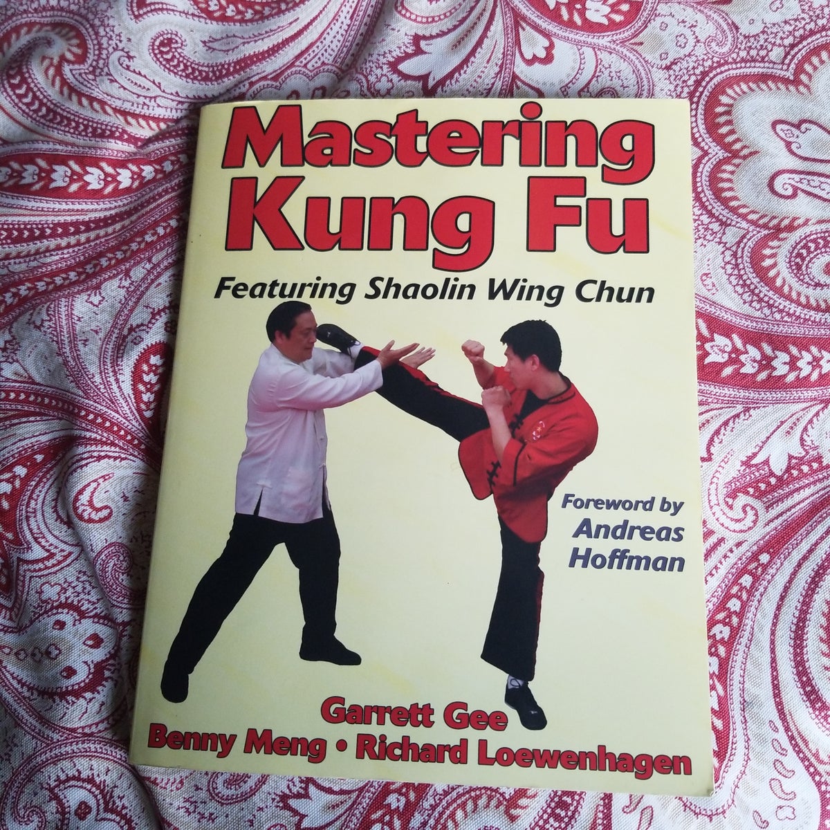 Mastering Kung Fu by Garrett Gee, Benny Meng, Richard Loewenhagen ...