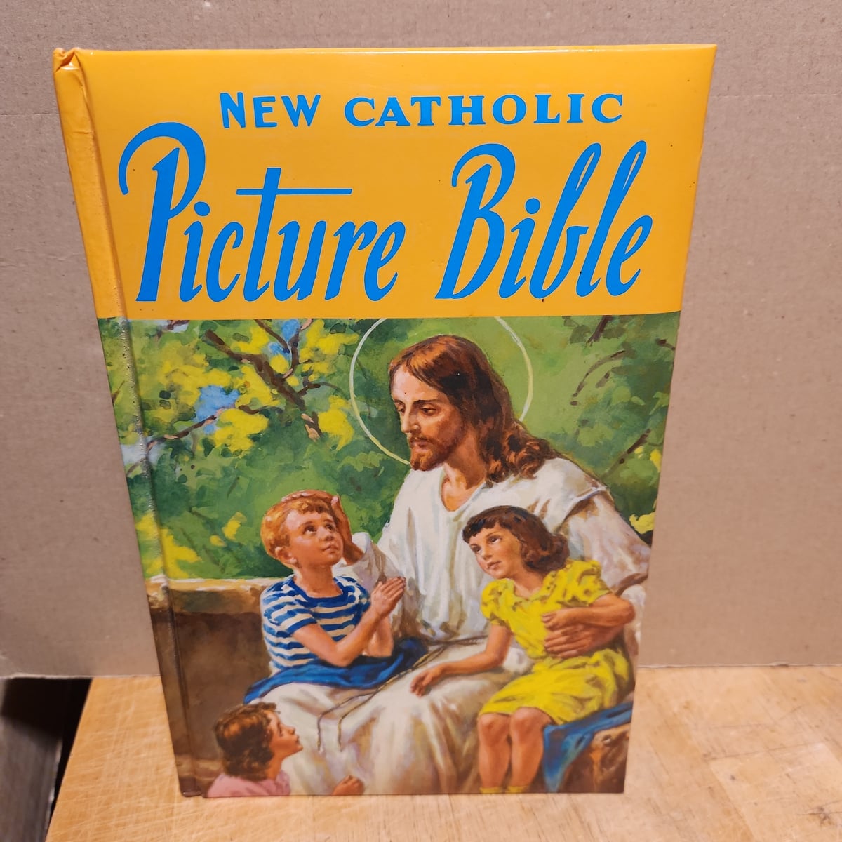 Catholic Picture Bible
