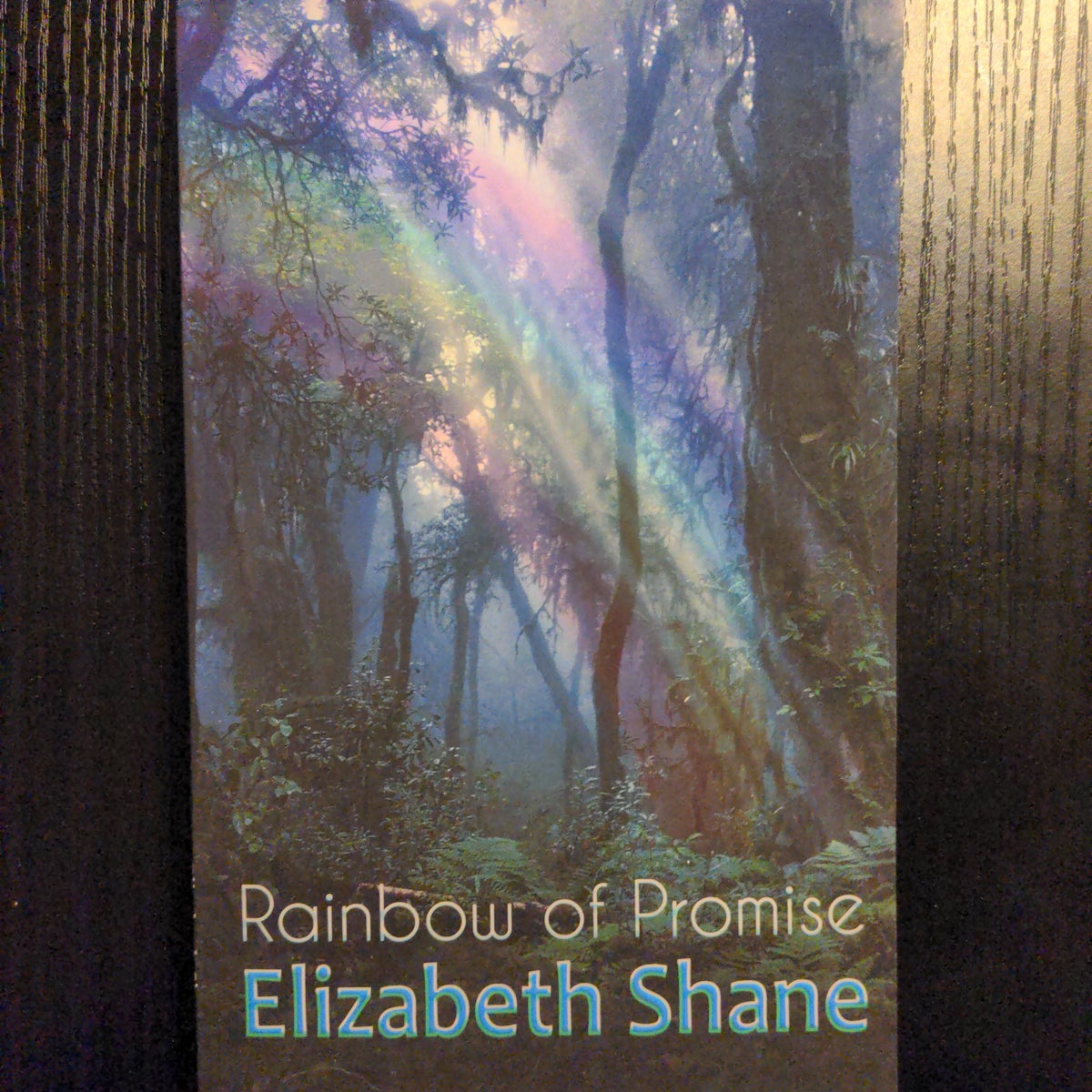Rainbow of Promise by Elizabeth Shane