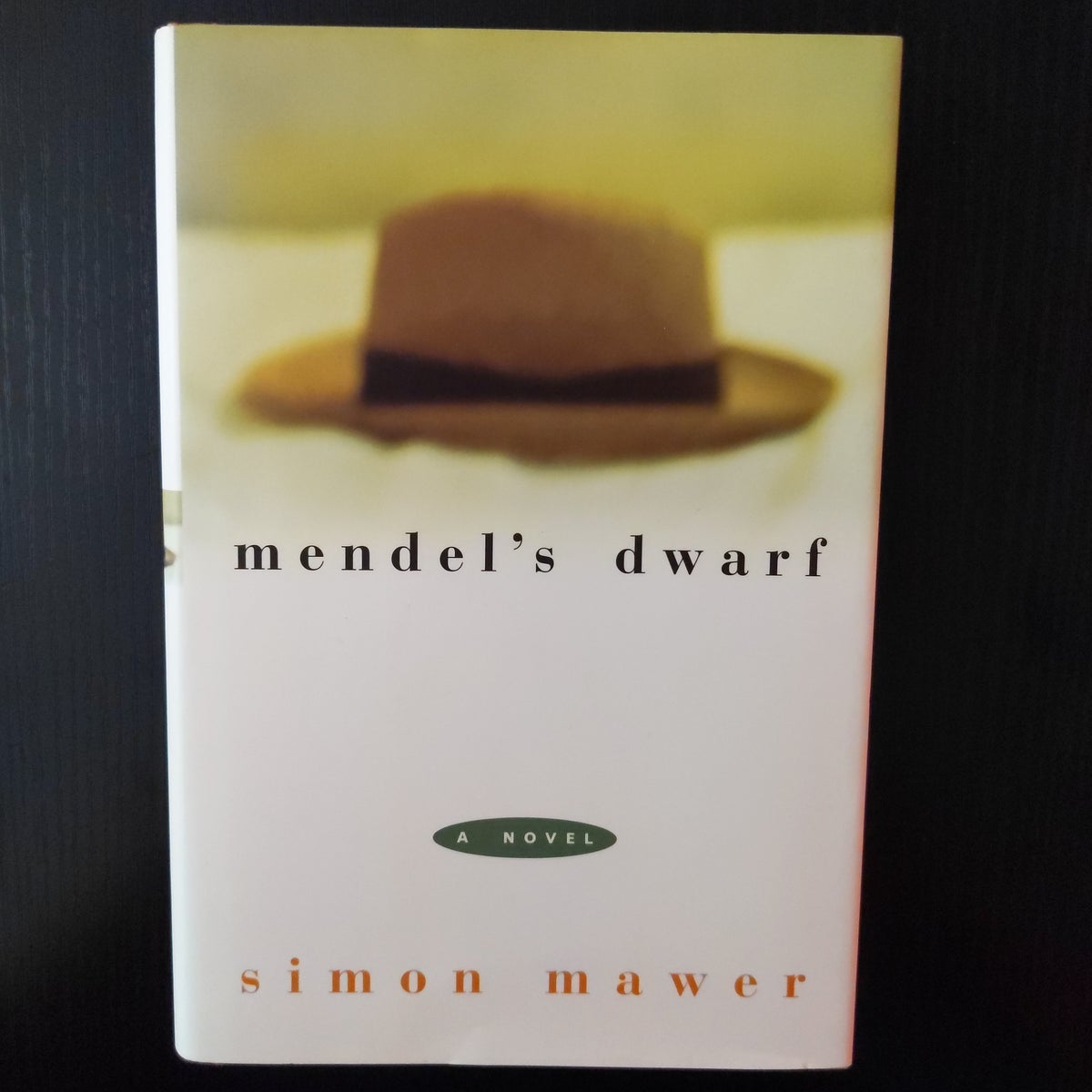 Mendel's Dwarf by Simon Mawer