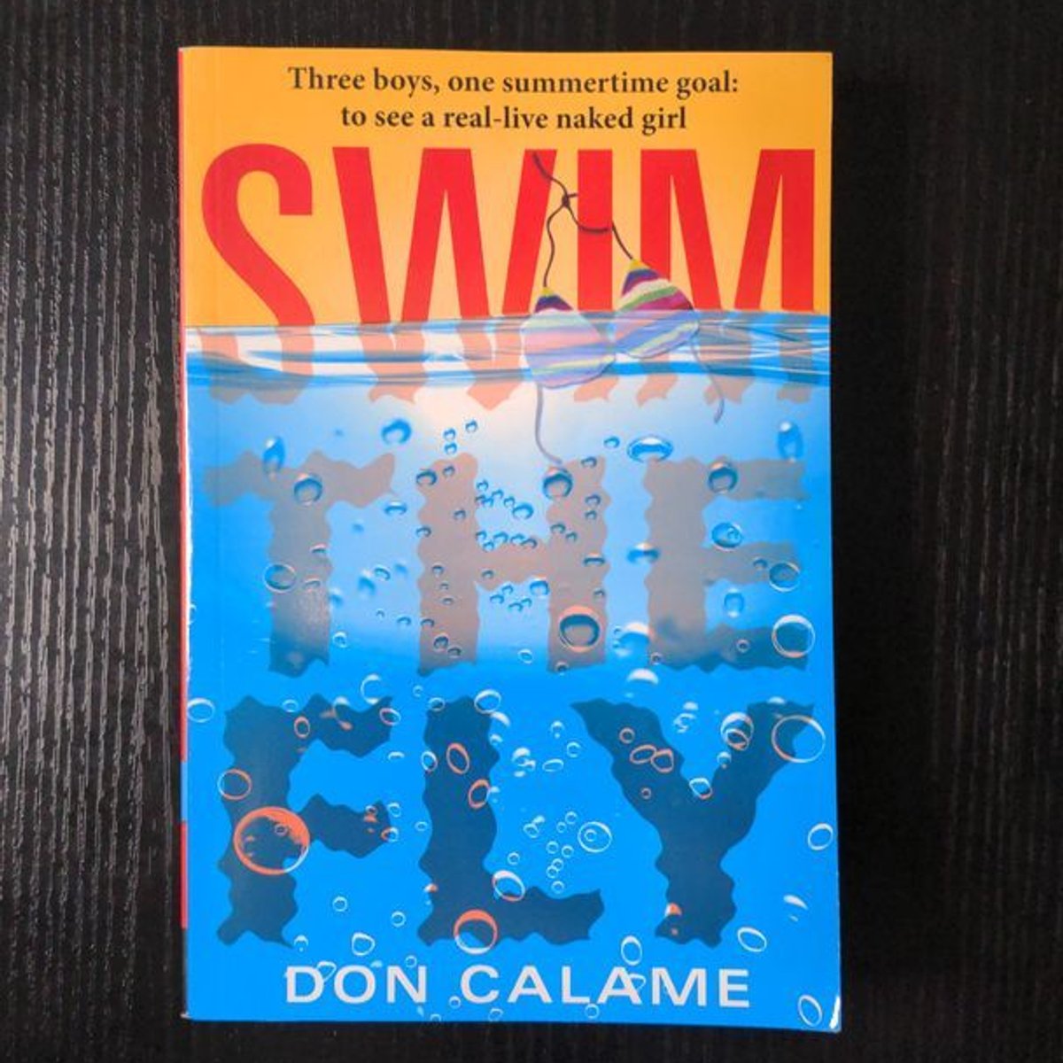 Swim the Fly by Don Calame