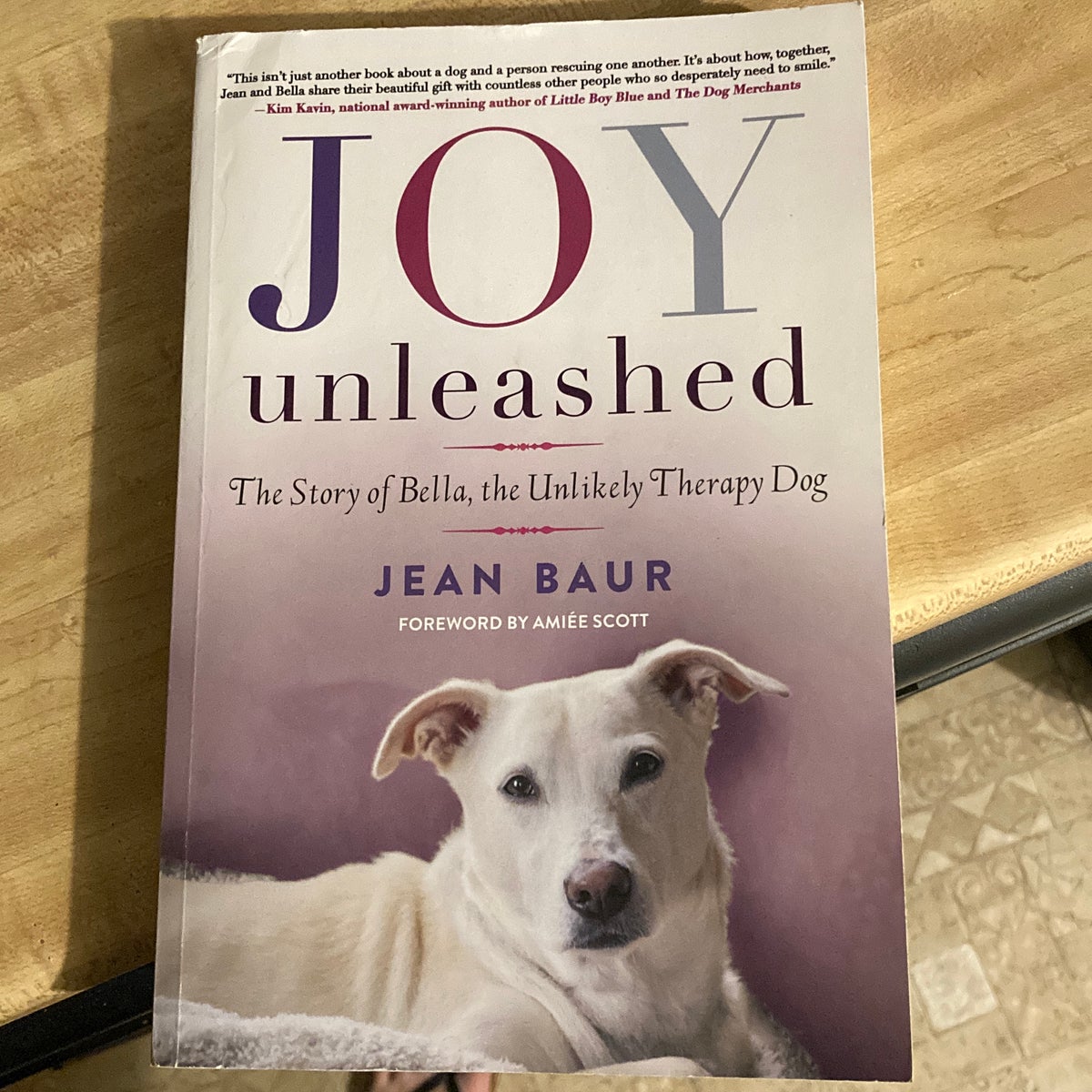 Joy Unleashed by Jean Baur, Aimee Scott