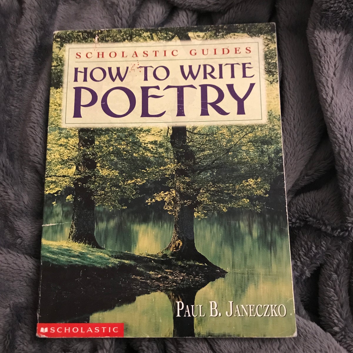 How to Write Poetry Scholastic Guides