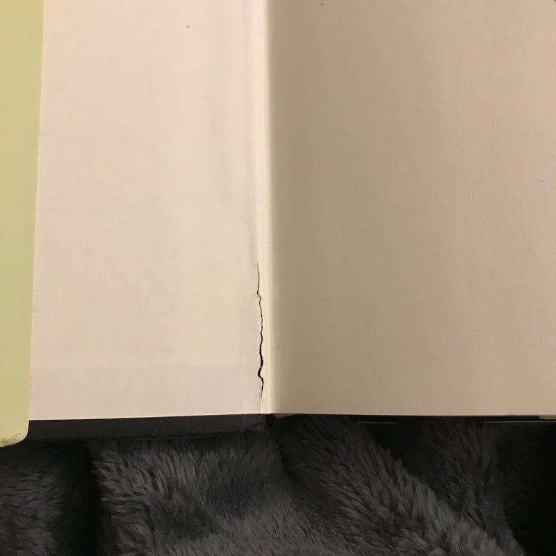 The Firefly Code by Megan Frazer Blakemore, Hardcover | Pangobooks