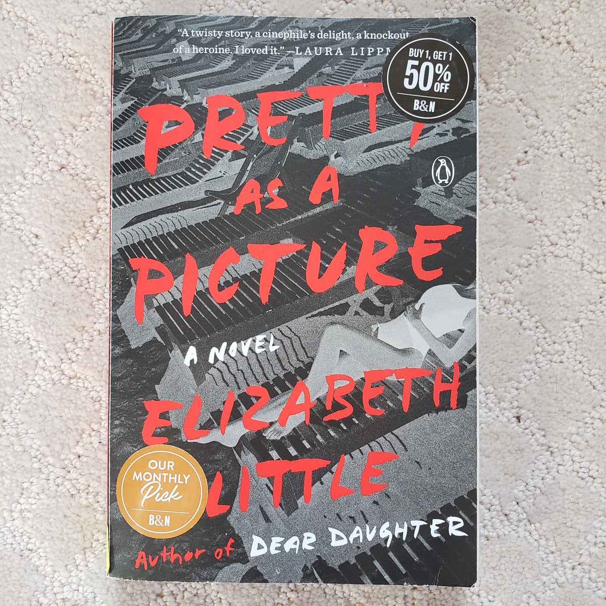 Pretty as a Picture by Elizabeth Little, Paperback | Pangobooks