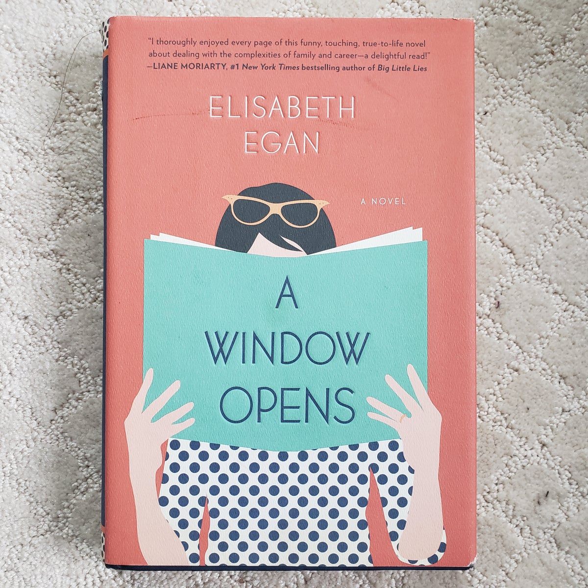 A Window Opens by Elisabeth Egan