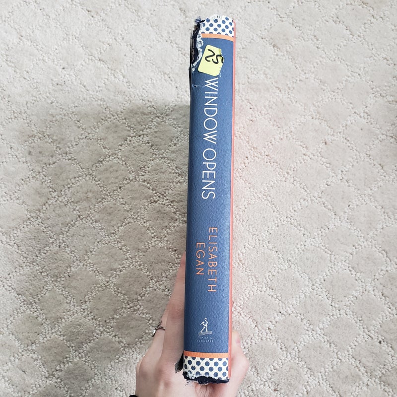 A Window Opens by Elisabeth Egan