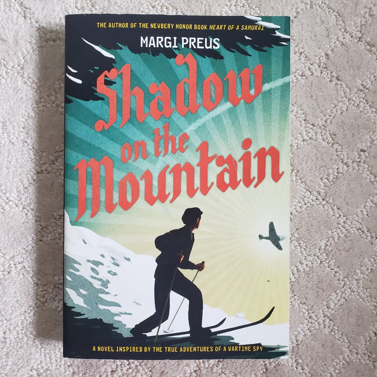 Shadow on the Mountain by Margi Preus