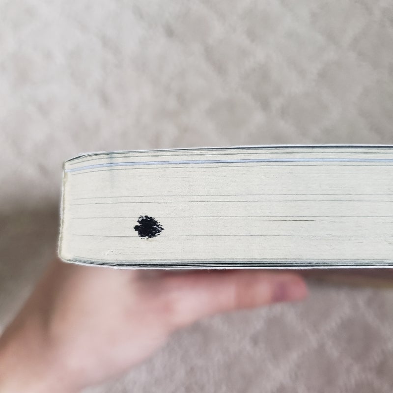 Shadow on the Mountain by Margi Preus