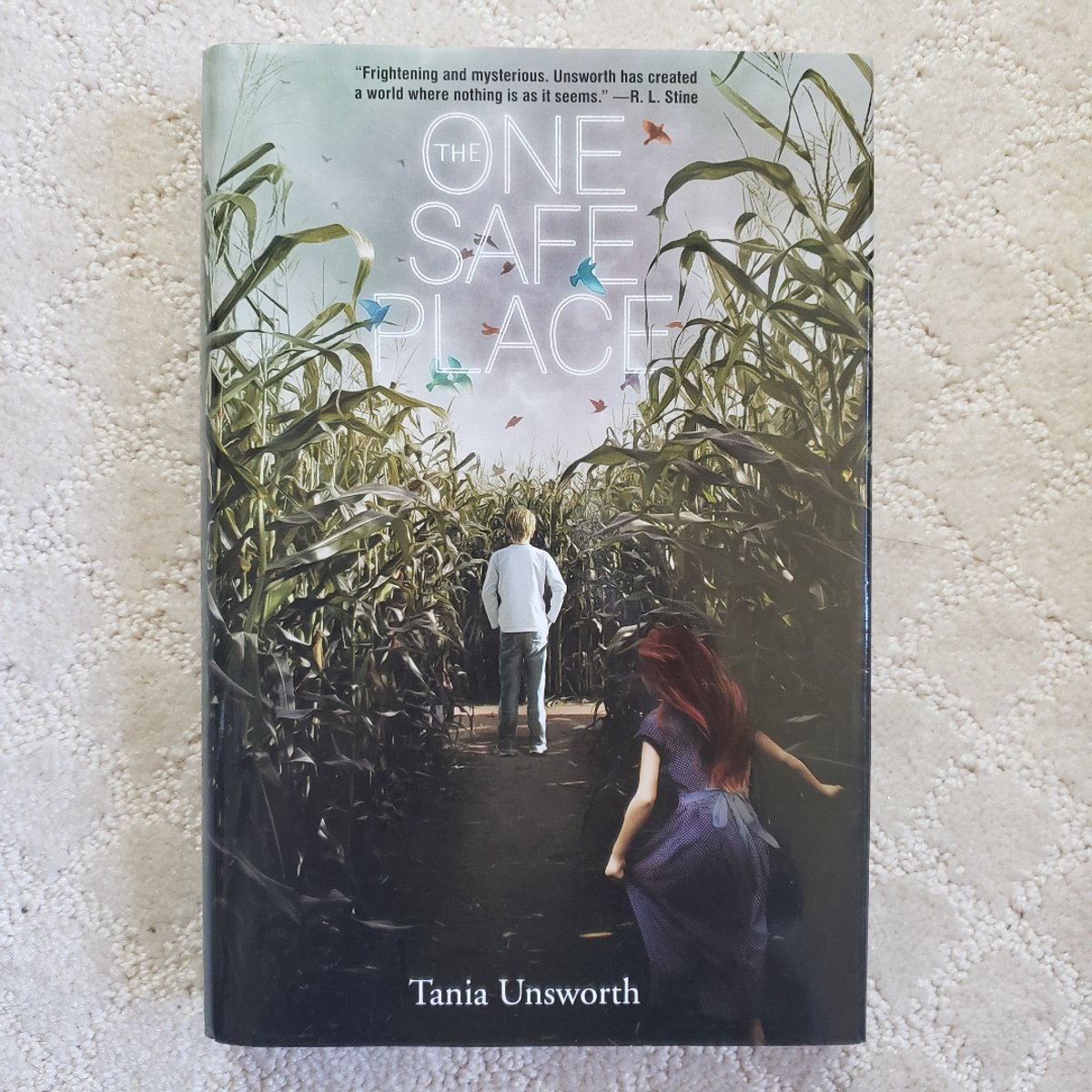 The One Safe Place by Tania Unsworth