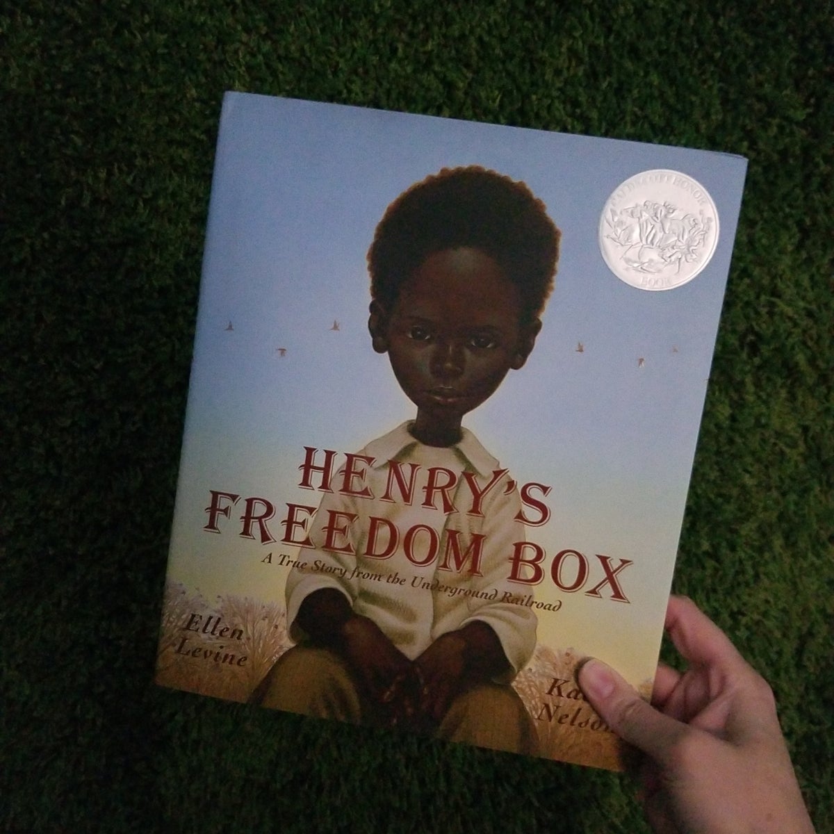 Henry's Freedom Box by Ellen Levine, Hardcover | Pangobooks