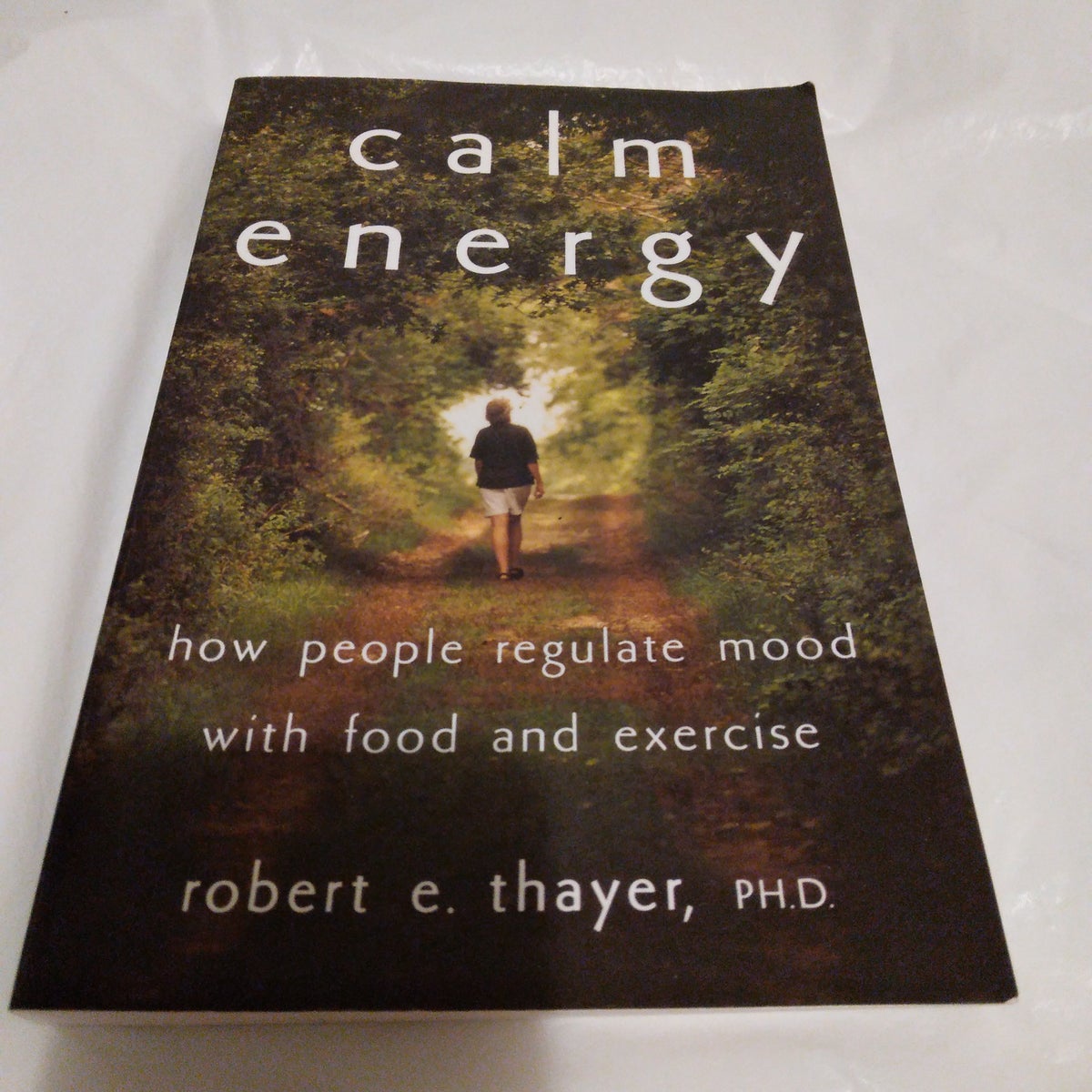 Calm Energy by Robert E. Thayer, Paperback | Pangobooks