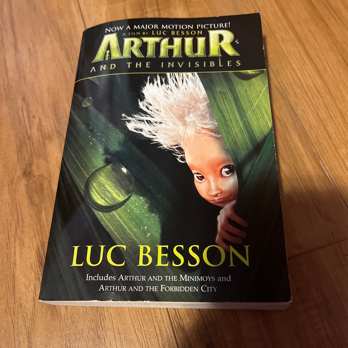 Arthur and the Invisibles by Luc Besson, Ellen Sowchek, Celine Garcia