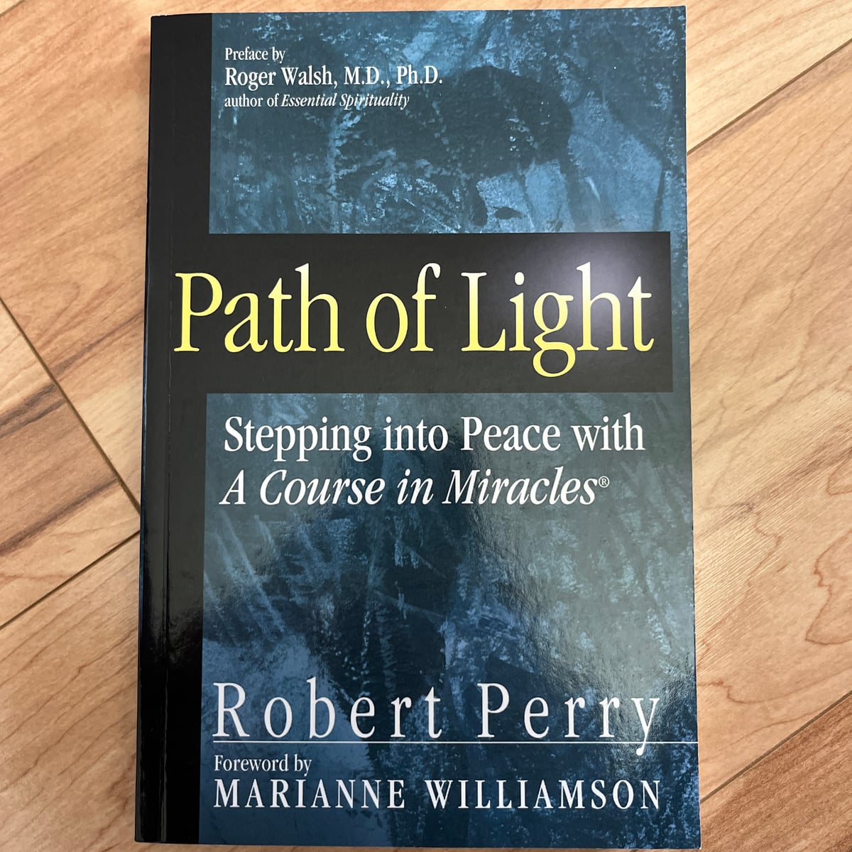 Path of Light by Robert Perry
