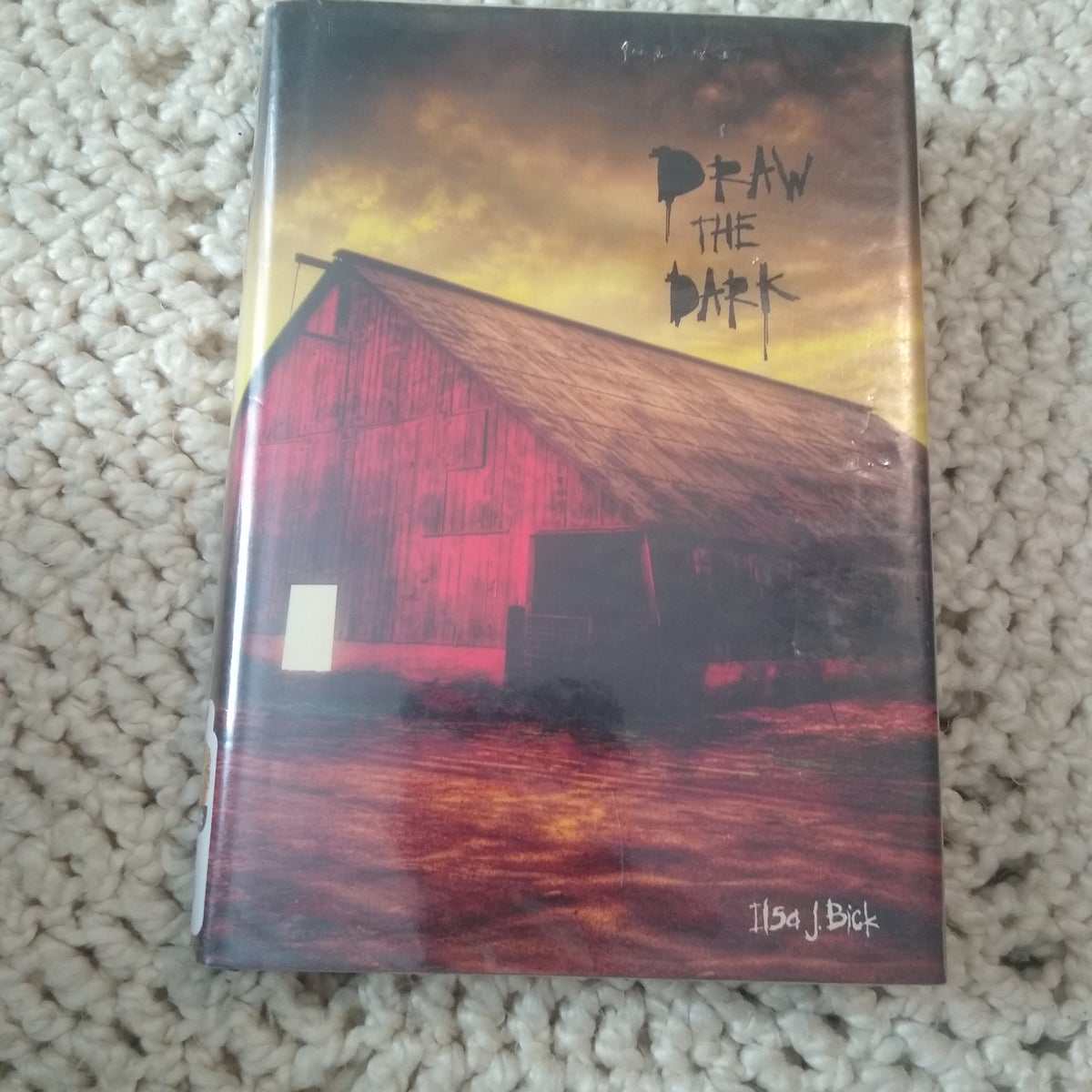 Draw the Dark by Ilsa J. Bick