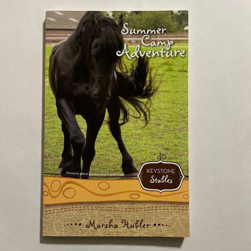 Summer Camp Adventure by Marsha Hubler